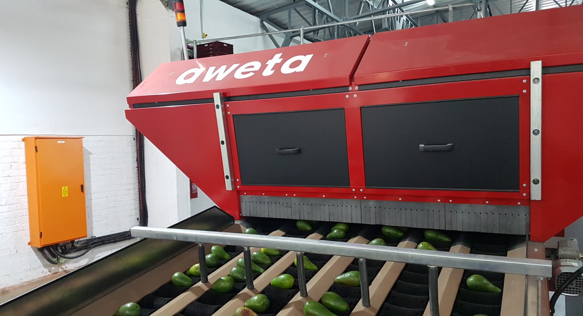 Home [www.aweta.co.za]