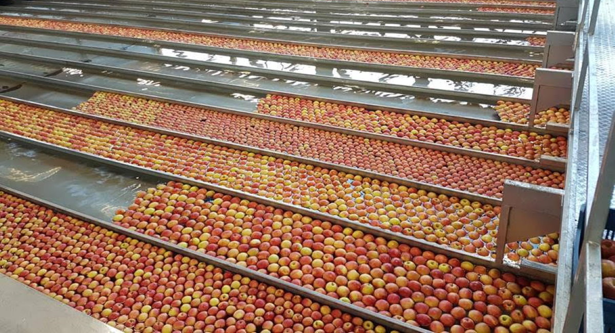 Home [www.aweta.co.za]