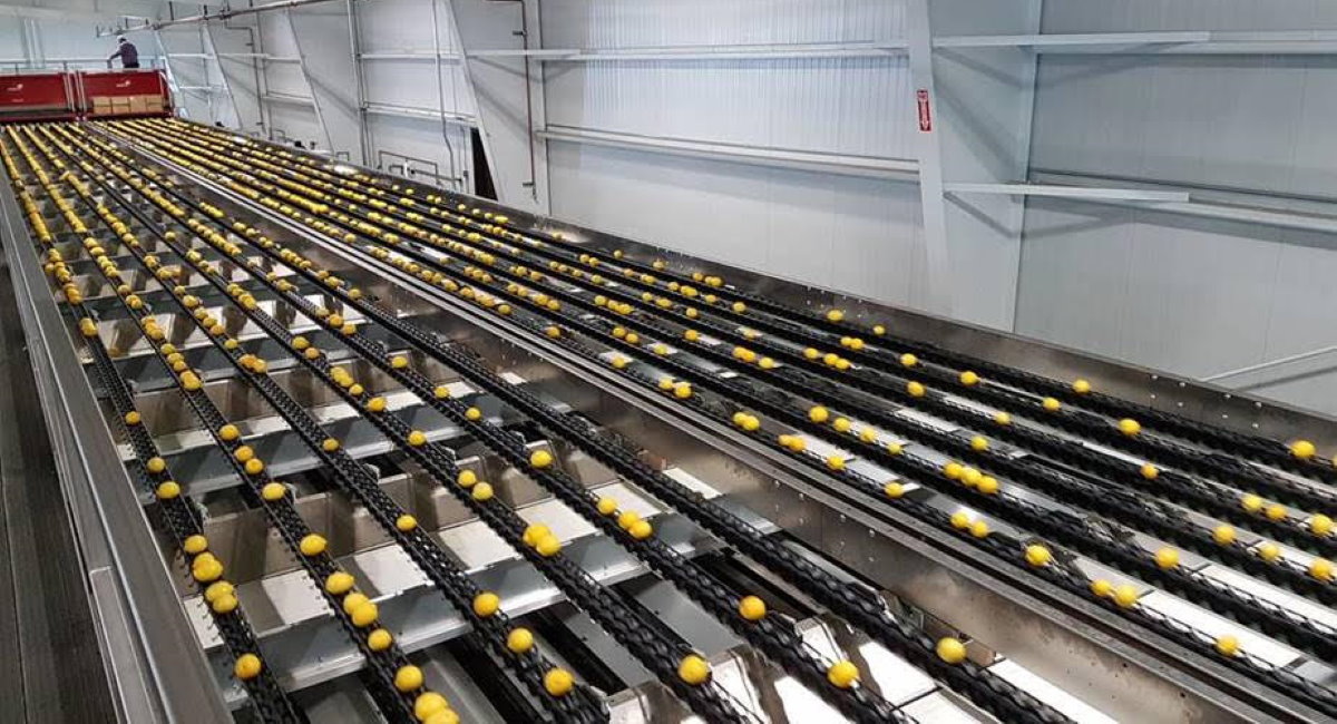 Home [www.aweta.co.za]